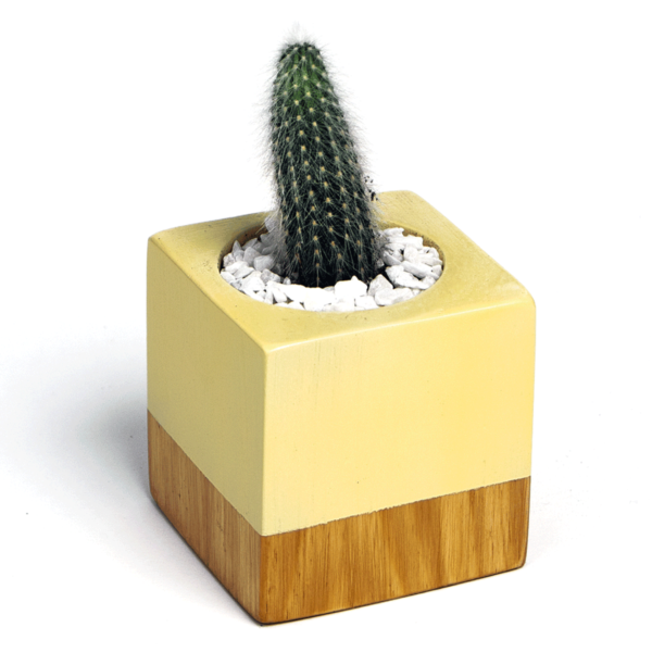 Mini macetas de madera